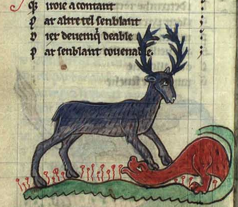 Medieval Animals – Dēor-hord: a medieval and modern bestiary
